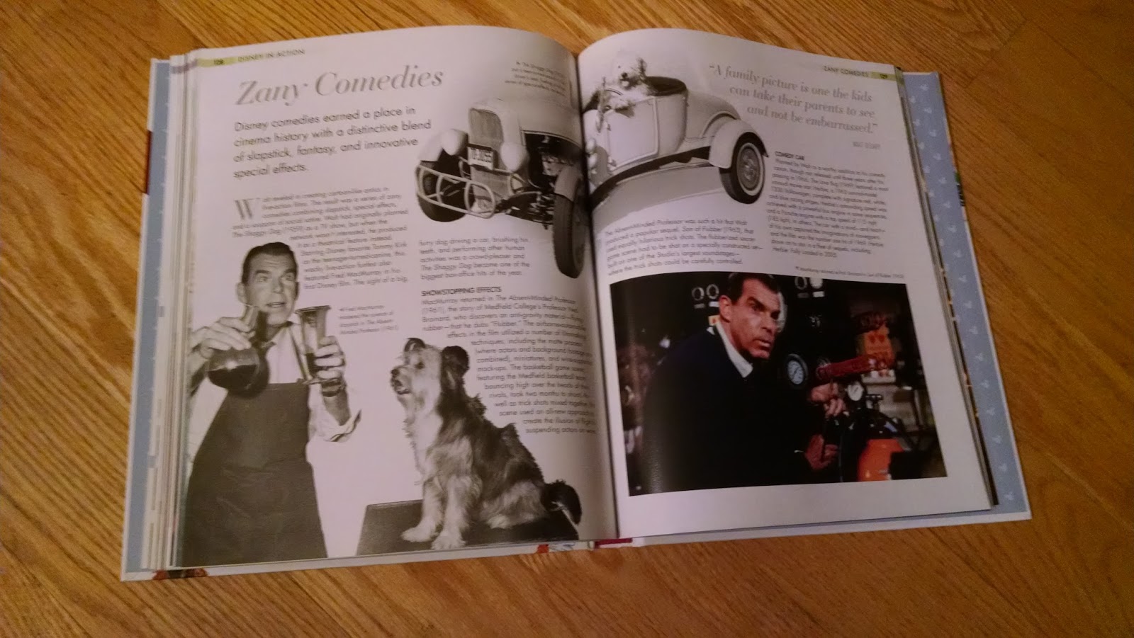 The O.W.L.: In the Spotlight - The Disney Book: A Celebration of the ...