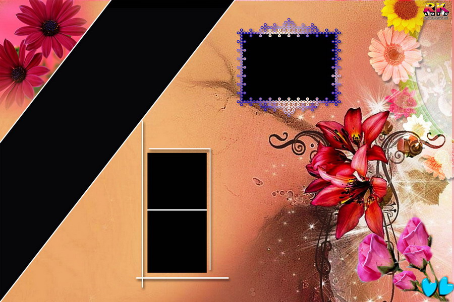 Digital Background and Photo Album Vol-1 - RK arts