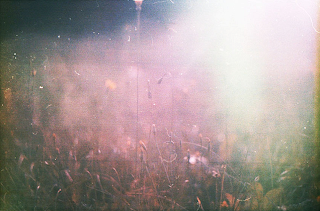 ELEPHANTITIS: BONERVILLE PHOTO FINDS