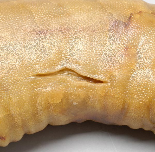 Anonymous Works: A Carved Stone Amputated Pig's Foot
