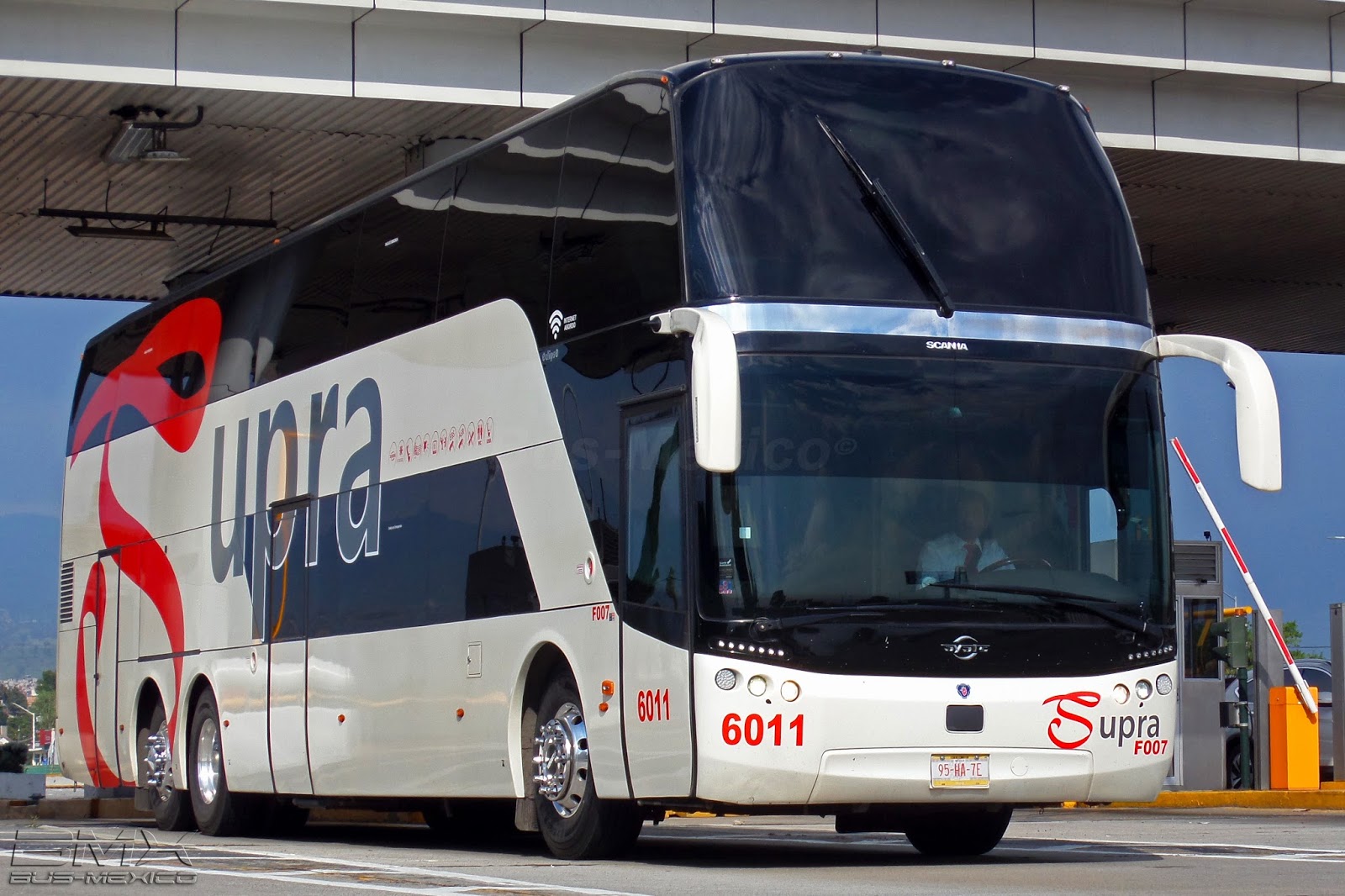 Autobuses Rápidos del Altiplano: Supra - Bus-México