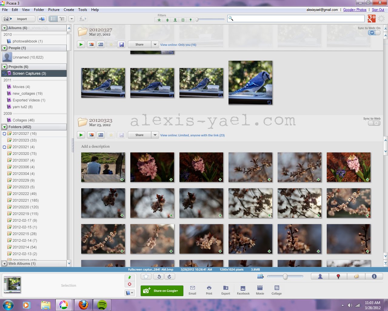 fun with picasa - a mini tutorial