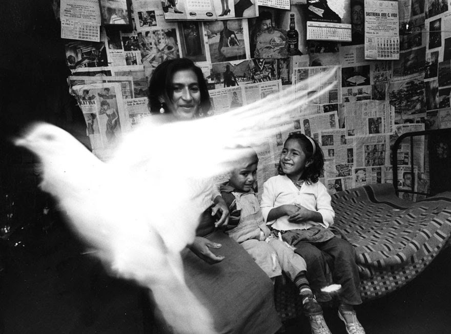 OLTRE IL MURO: ARTE e FOTOGRAFIA: KEN HEYMAN | PHOTOGRAPHER