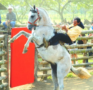 GUIANZA TURÍSTICA: MONTUBIO