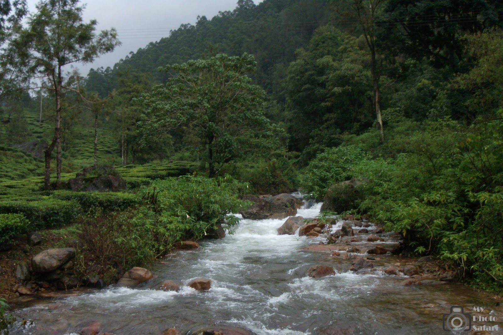 Valparai - Hill Station