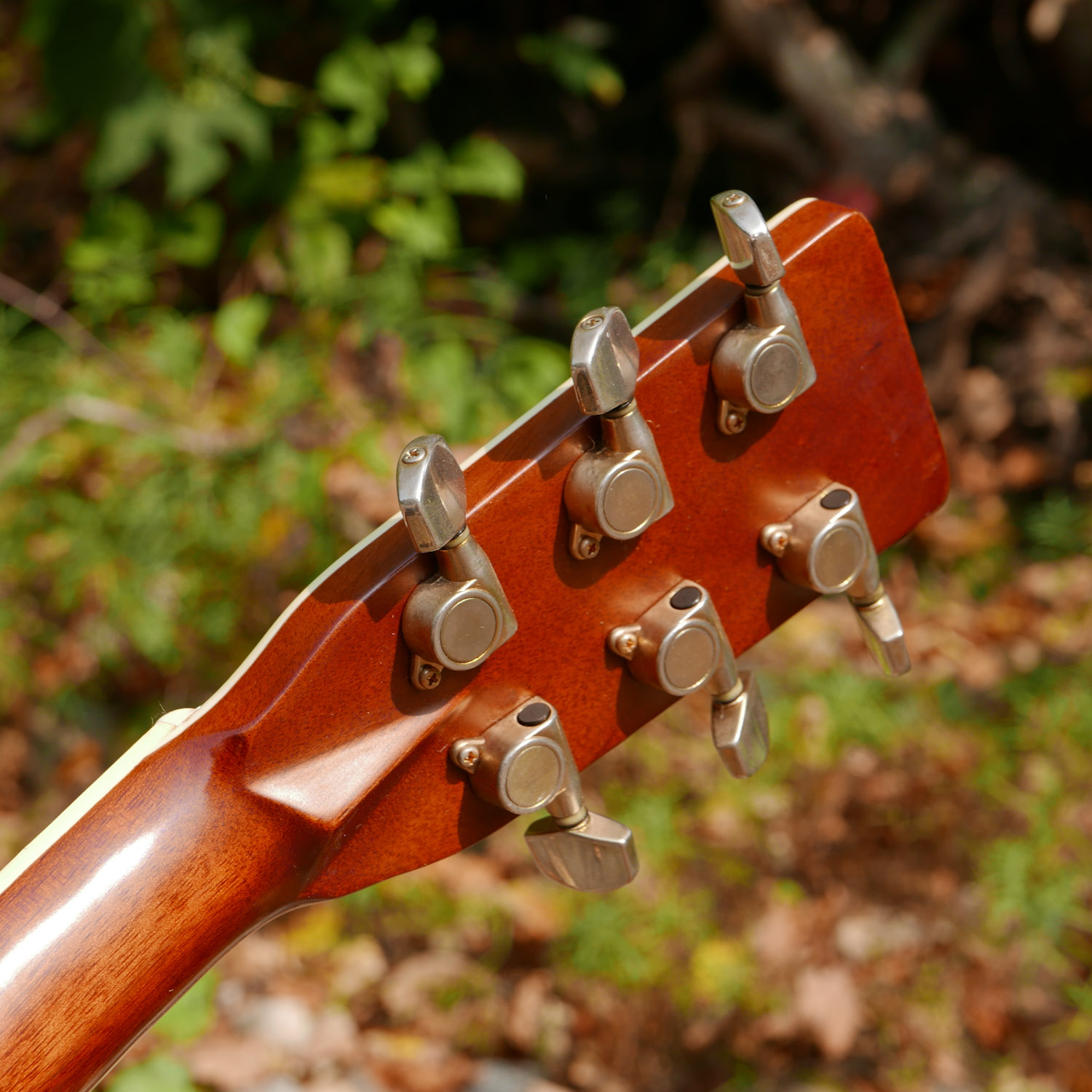 1990s Sigma SDR-41 Dreadnought Guitar
