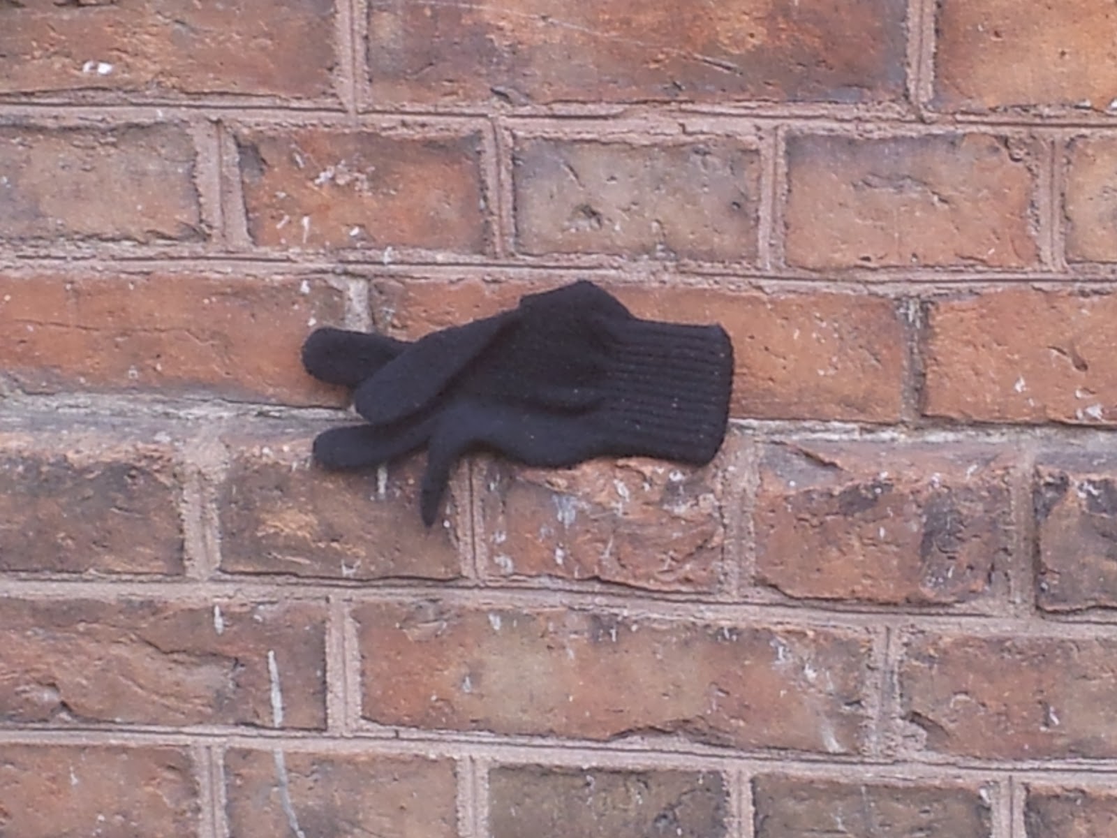 Ackerbau in Pankow: Like a velvet glove cast in iron