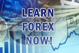 Learn Forex For Gratis - The Basics Of Forex Yous Must Know - Trick ...