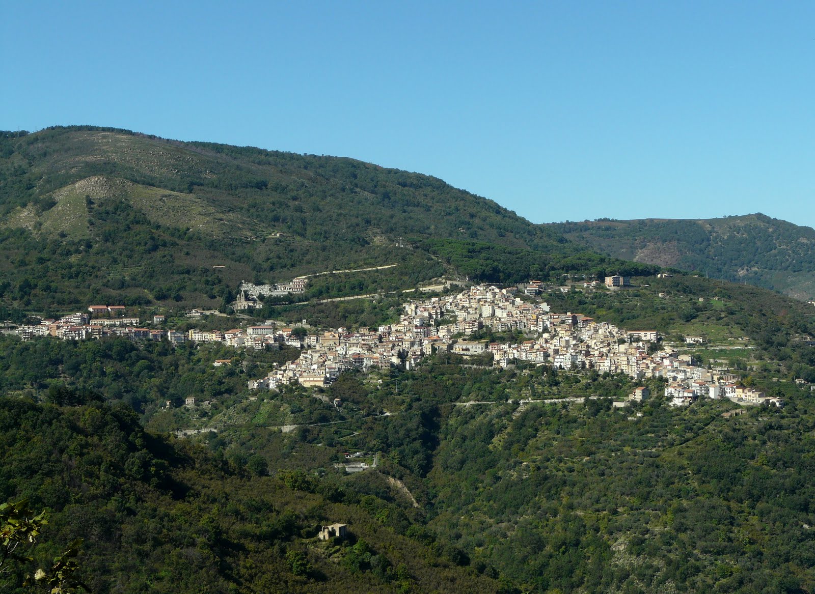 Pro Loco Ucria News: 2011