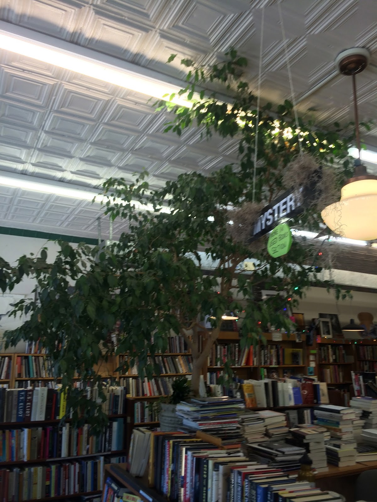 The Indie Bob Spot: Talking Leaves Books - Buffalo, NY