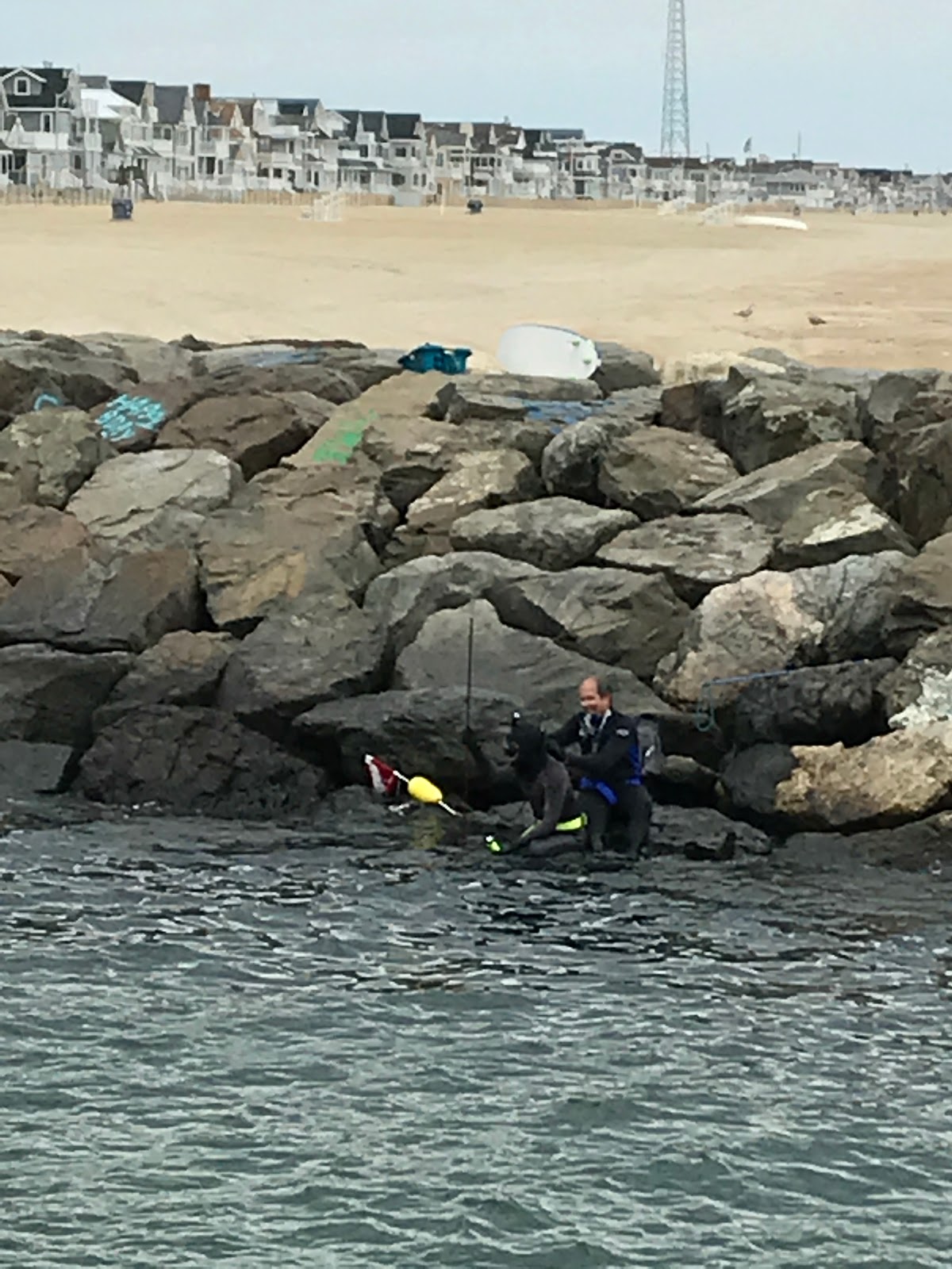 Viridian News & Views: Manasquan Inlet at the End of New Jersey