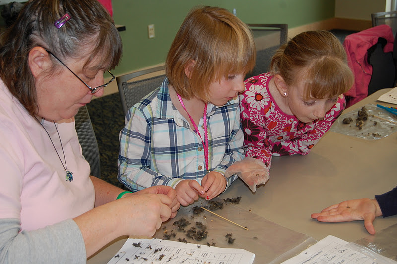 Our Creative Day: Owl Pellet Dissection
