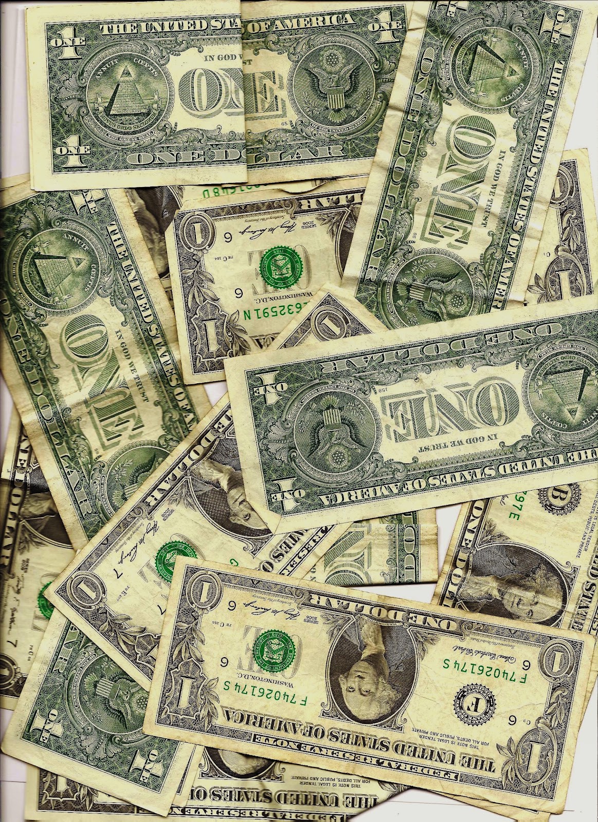 Lindsey Nicole Photography