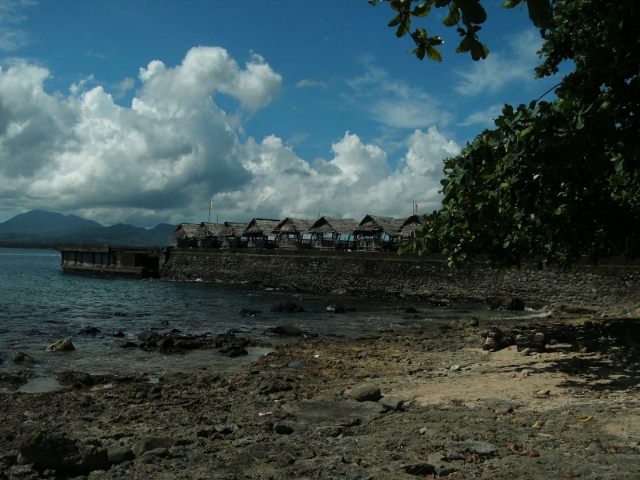 Wandering Turista: Fish Interaction, Barangay Calag-Itan