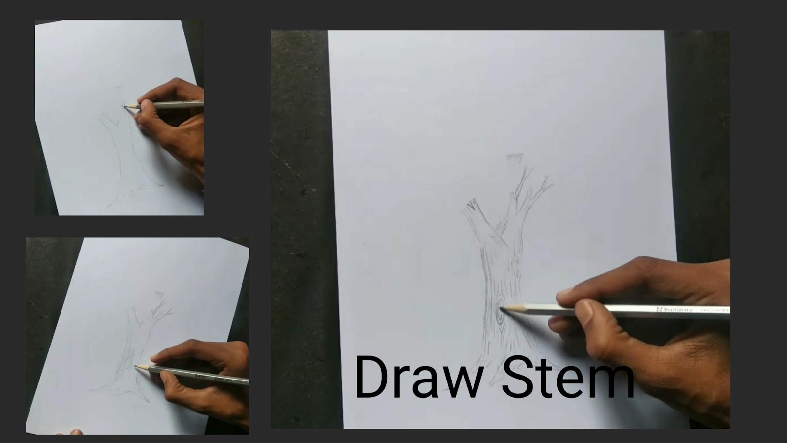 How to draw Trees - step by step tutorial - for begginers