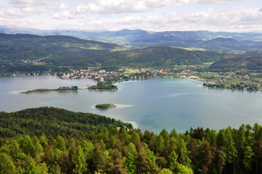 Brahms' Beard (and his Violin Concerto). - Wolfie Wolfgang