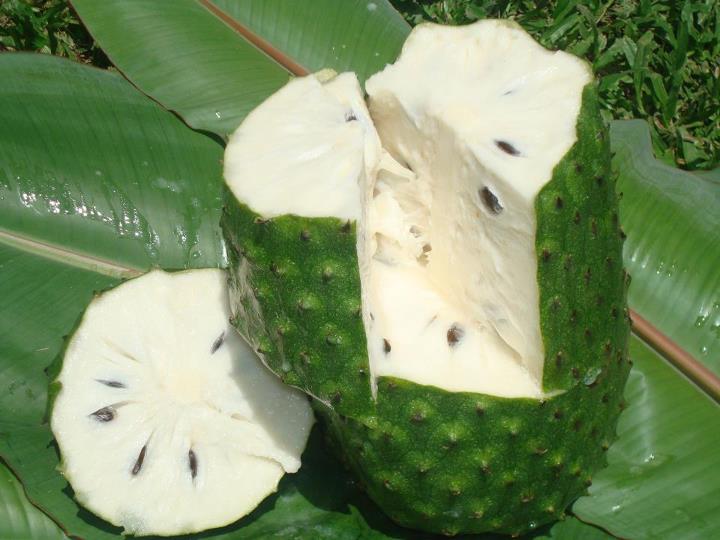 Soursop fruit has High Antioxidant Content | Health and Beauty Info