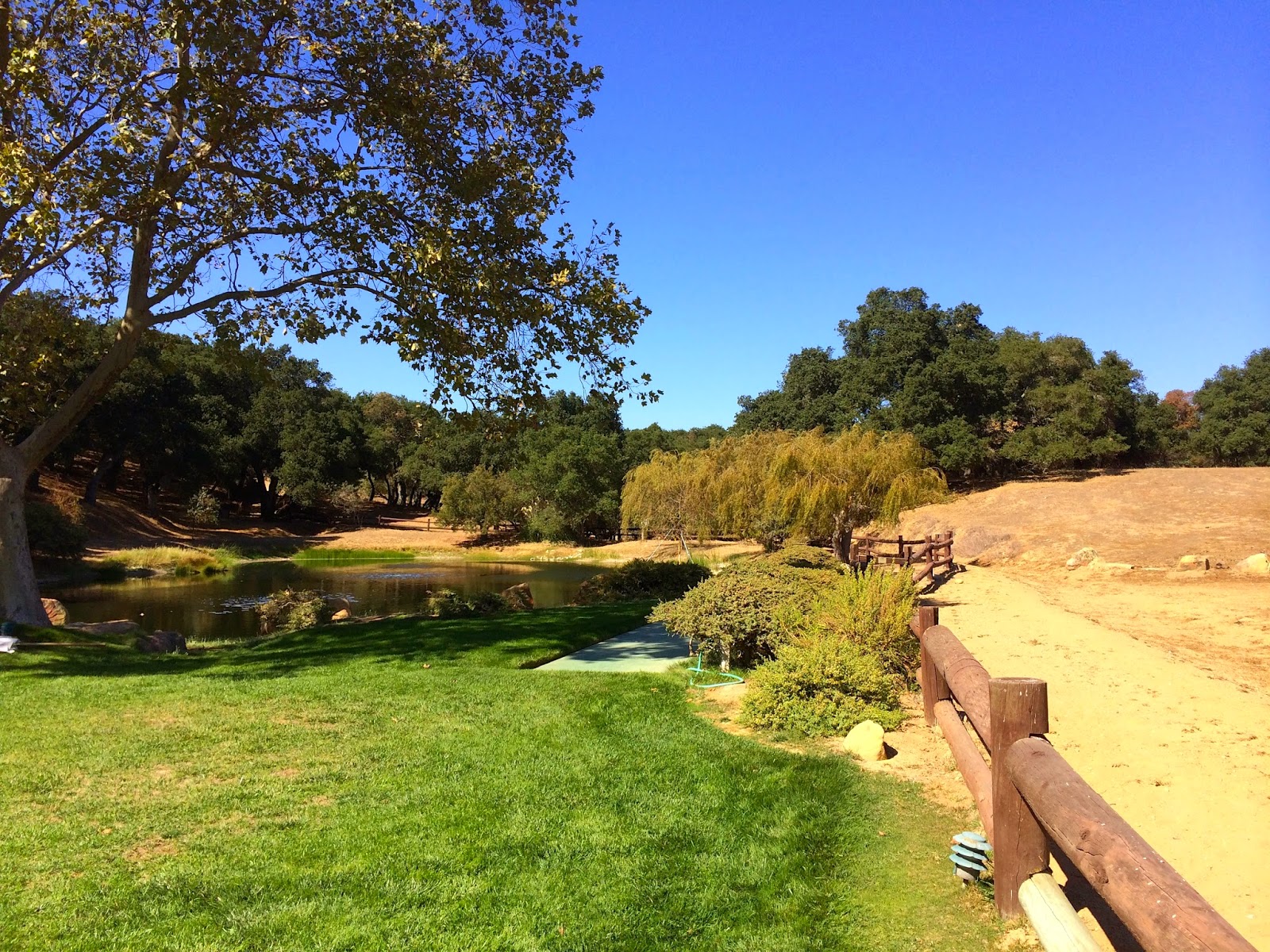 Dan Cirucci: Photos: A Day At The Reagan Ranch