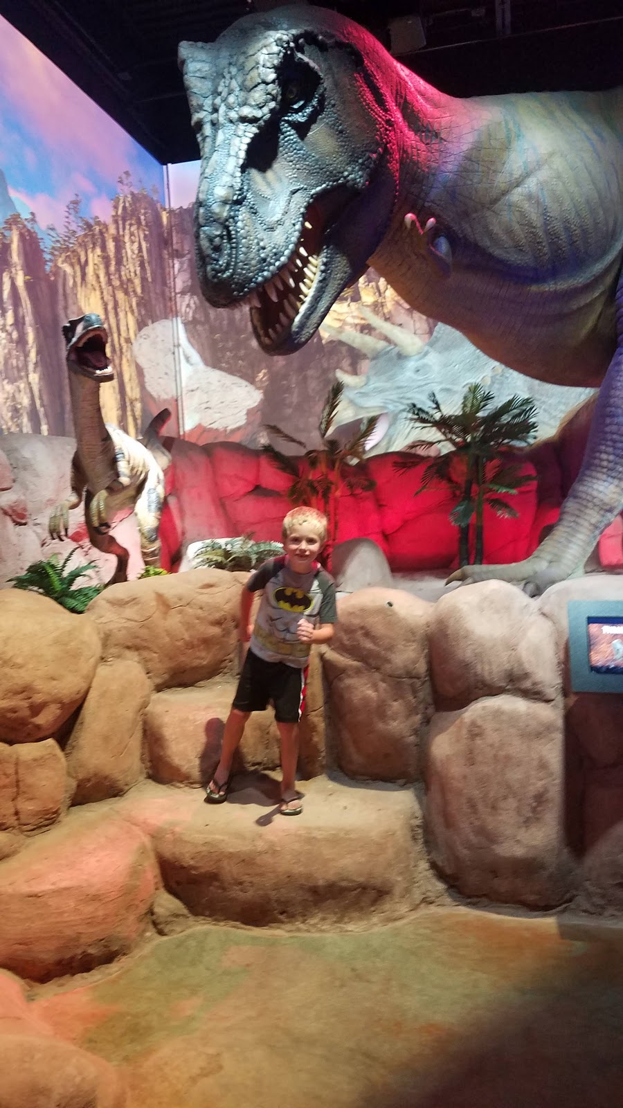 The Nellenbach Update