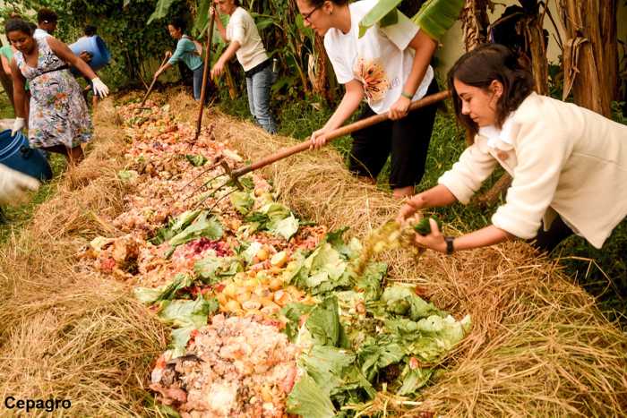 Conheça o método UFSC de compostagem de resíduos orgânicos - Natureza e ...