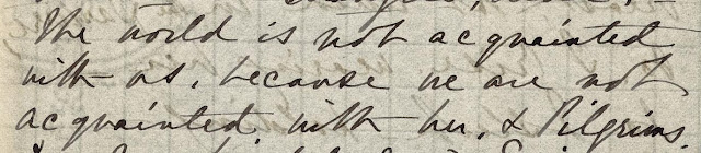 de casa al club: emily dickinson archive