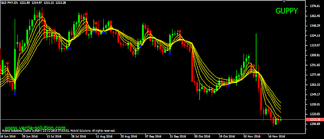 Guppy Indicator - Expert Trader