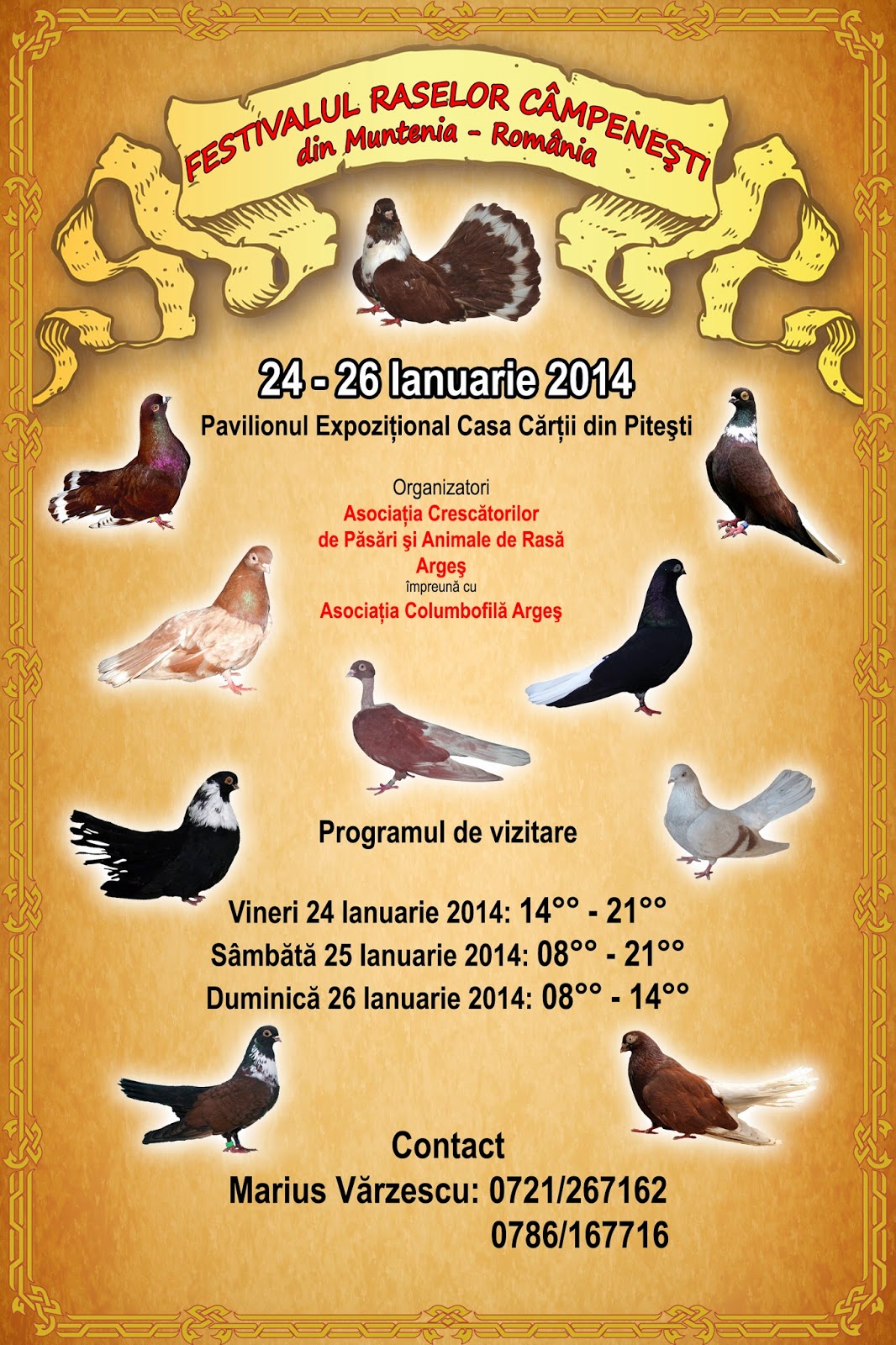 Festivalul raselor câmpeneşti din Muntenia - România | Rase-de-Porumbei-ro