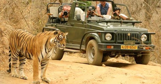 Go Visit Goa - India: Wildlife Sanctuaries in Goa