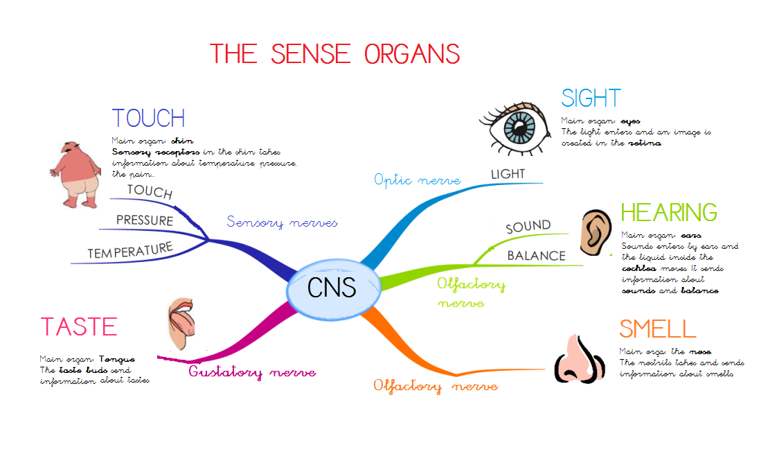 apoyoescolar-marian: The vital functions of life