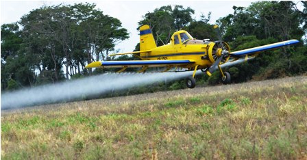 Observatorio Boliviano de los Recursos Naturales: Un 40% de soyeros usa ...
