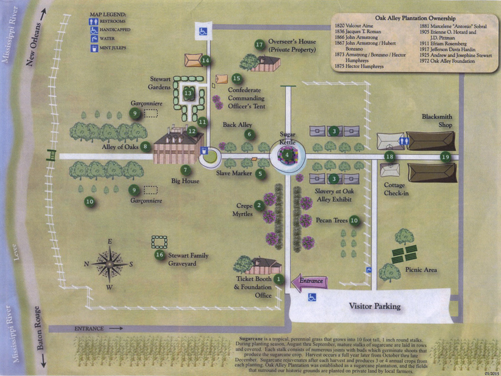 MARIETTE'S BACK TO BASICS: Oak Alley Plantation in Vacherie, Louisiana