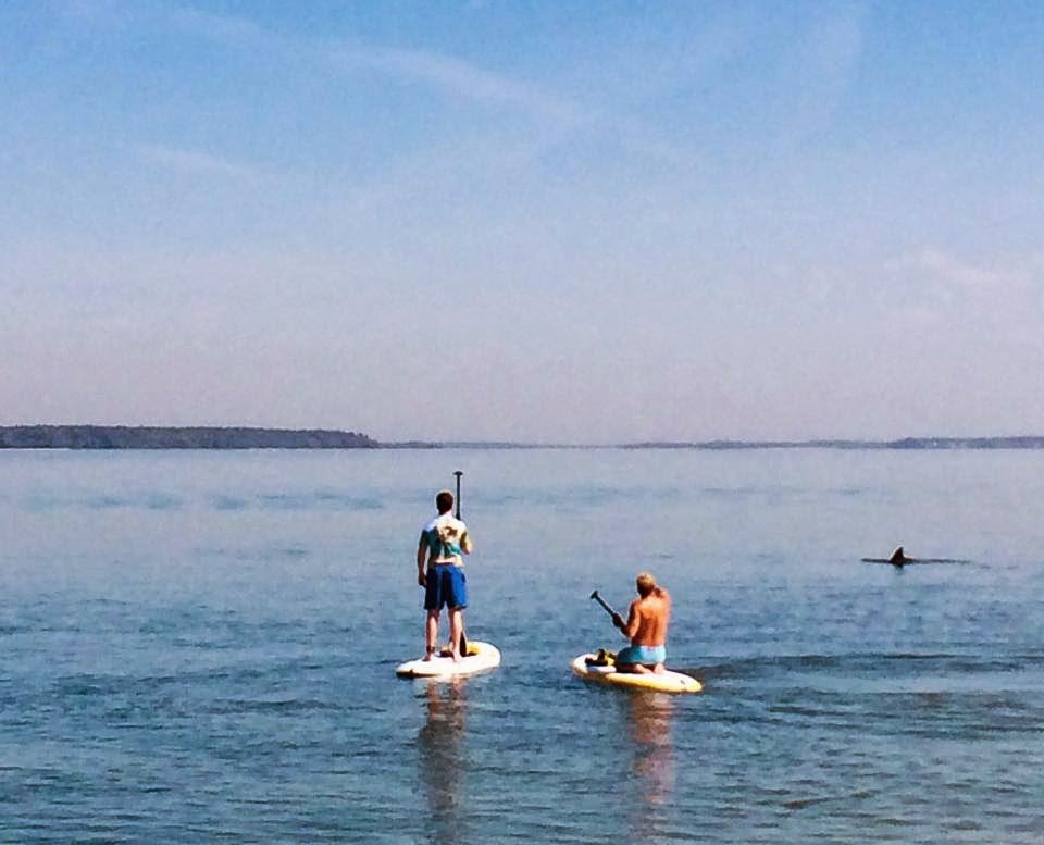 Atlantic Paddle Surfing: Unexpected young local made an appearance