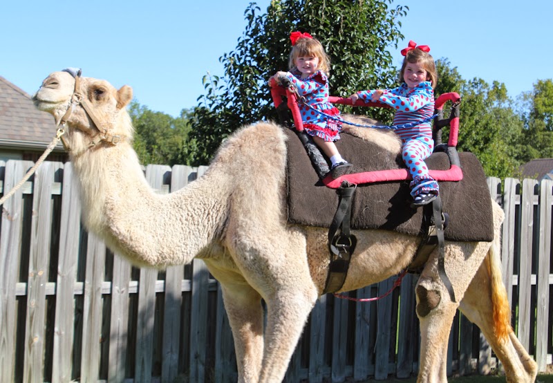 Kelly's Korner: It's a CIRCUS