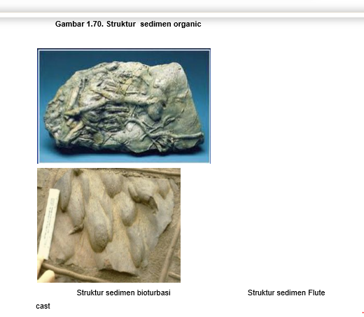 CARA MENENTUKAN STRUKTUR PADA BATUAN SEDIMEN KLASTIK - Our Akuntansi