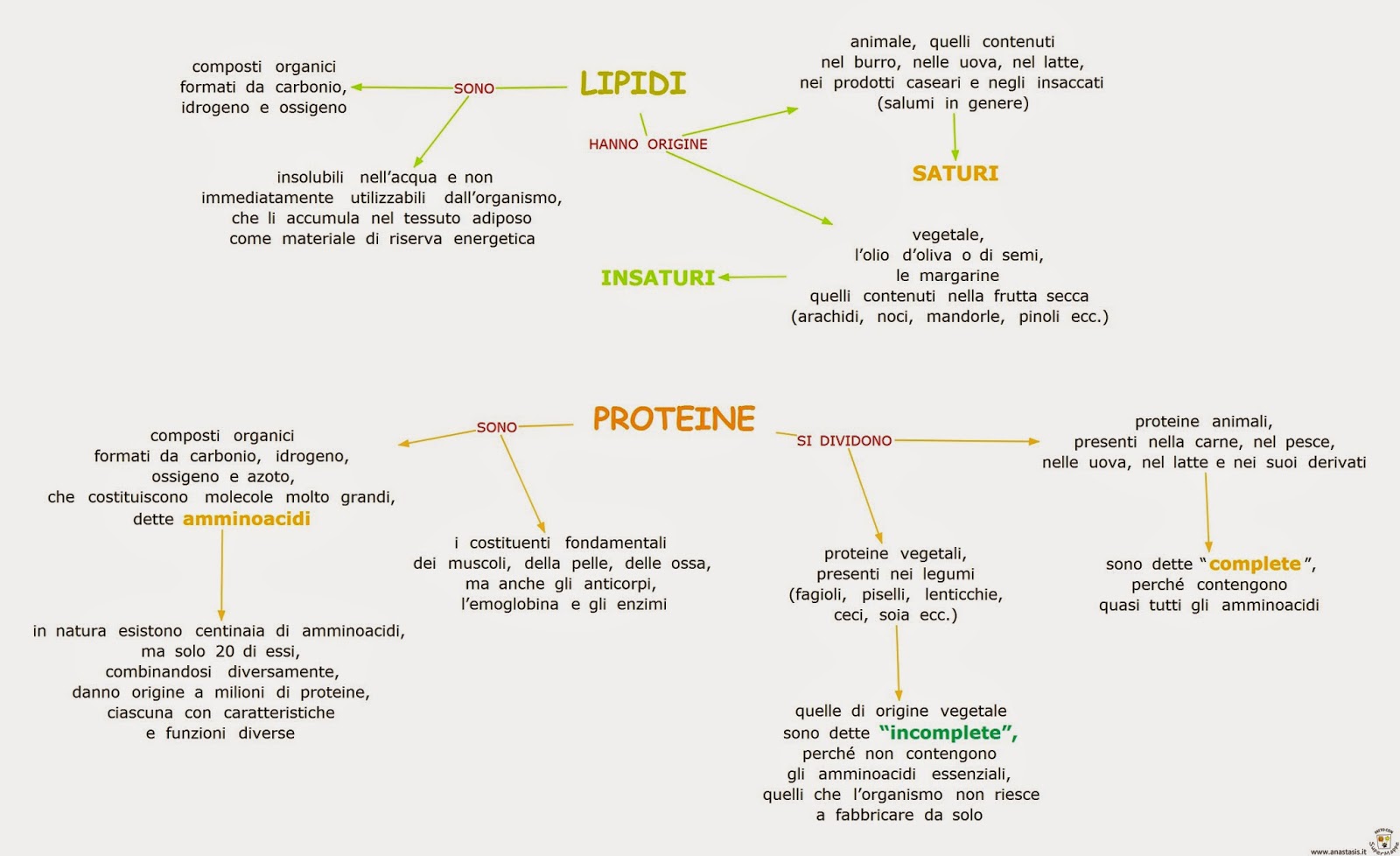 Paradiso delle mappe: Lipidi e proteine