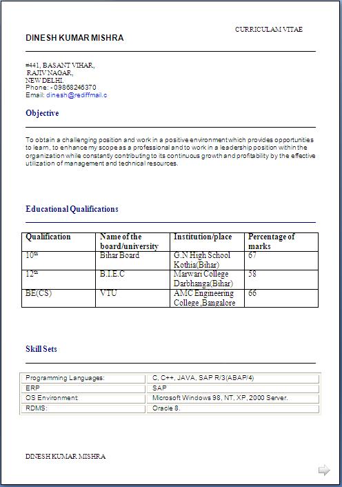 updated resume format