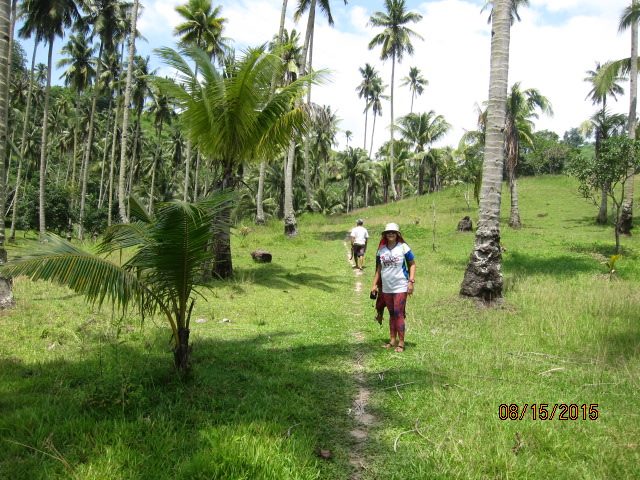 50FALLS@50: The 42nd Waterfalls - STA.CRUZ FALLS