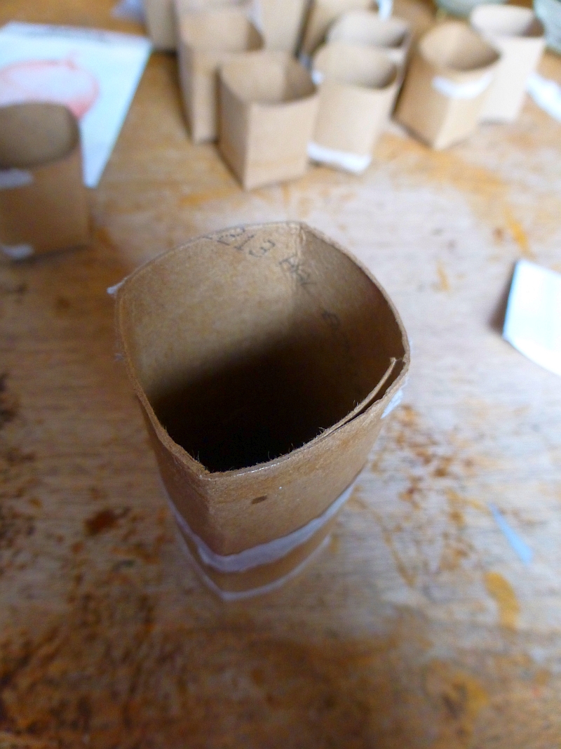 Rural Revolution: Seed pots from toilet paper tubes