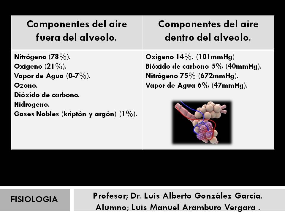 Chikis Blogs.: Componentes del aire.