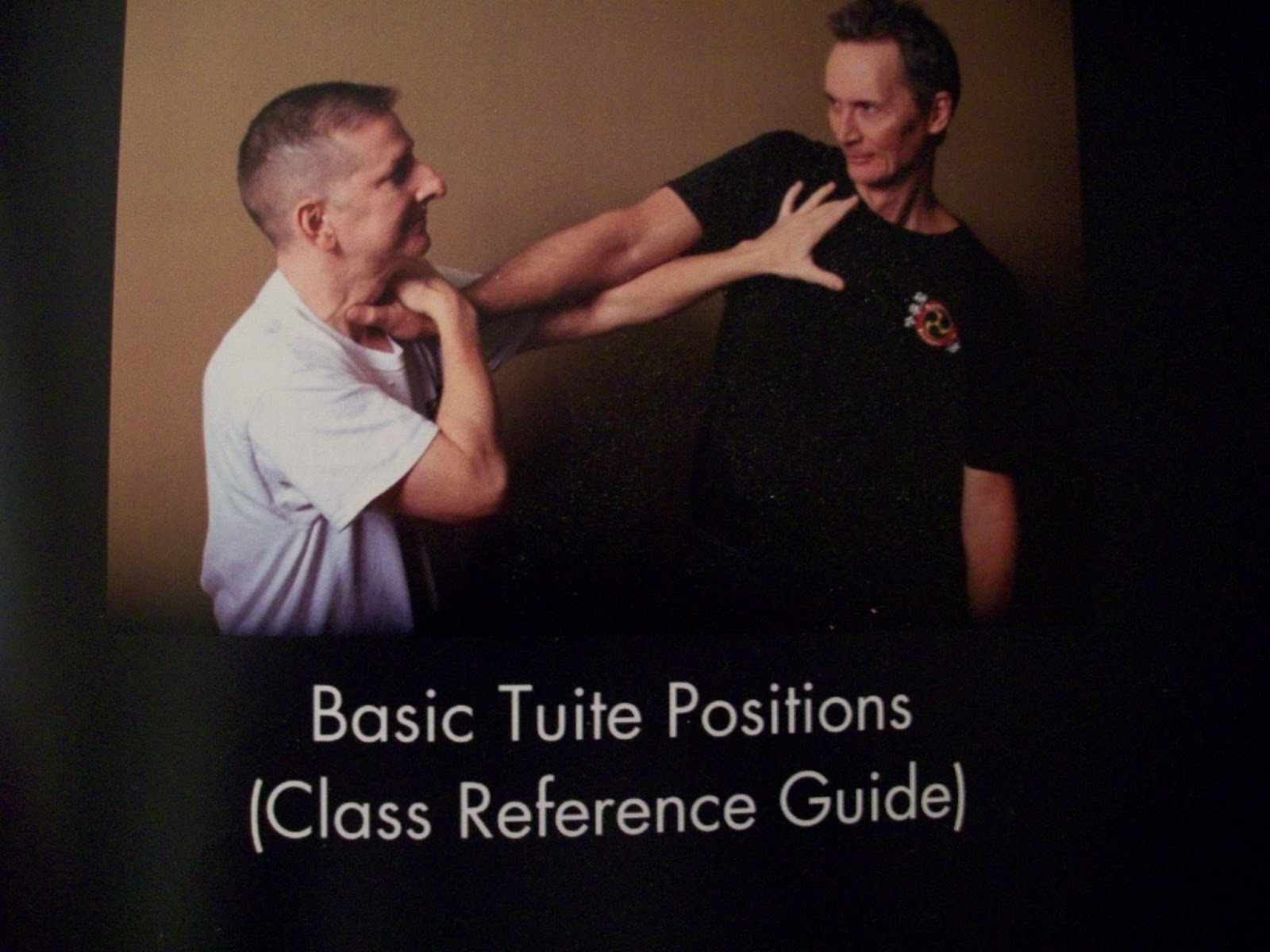 Tuite Jutsu (Personal training/teaching methodologies in Te): The 6 ...