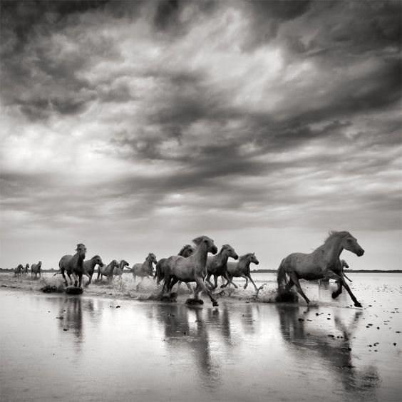 OLTRE IL MURO: ARTE e FOTOGRAFIA: JONATHAN CHRITCHLEY | PHOTOGRAPHER