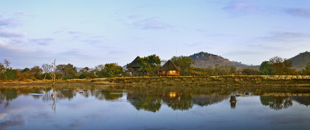 Bird Weddings: Ulusaba Private Game Reserve, South Africa