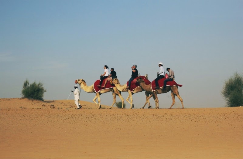 Lara: The Camel Ride