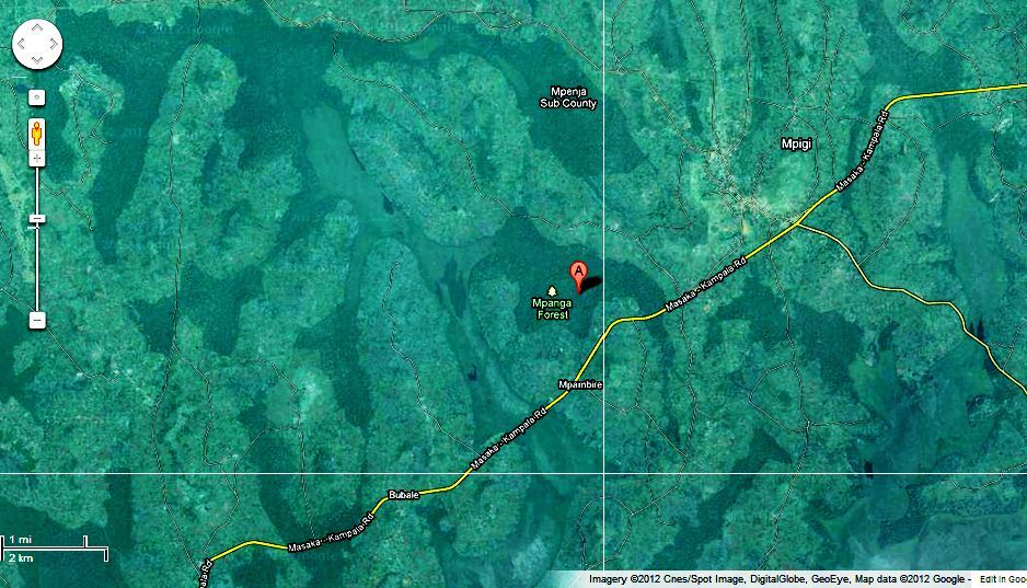 Celebrate What's Right with Public Higher Education: WALKING MPANGA FOREST