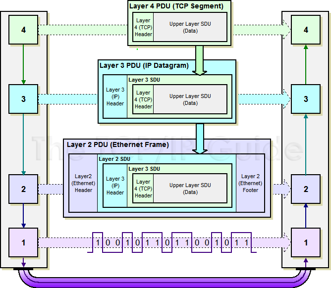 Software Jaringan komputer ~ Sosial Blog