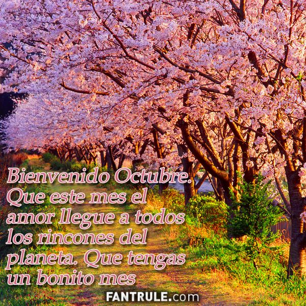 Imágenes Bienvenido Octubre 【 Imágenes y Frases del mes 】 Geniales ...