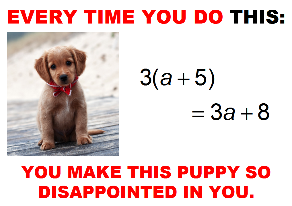Curmudgeon: Do This and the Bunny Dies