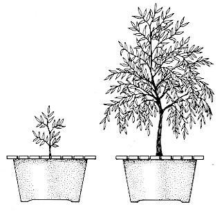 Science teacher: Catechism in the classroom