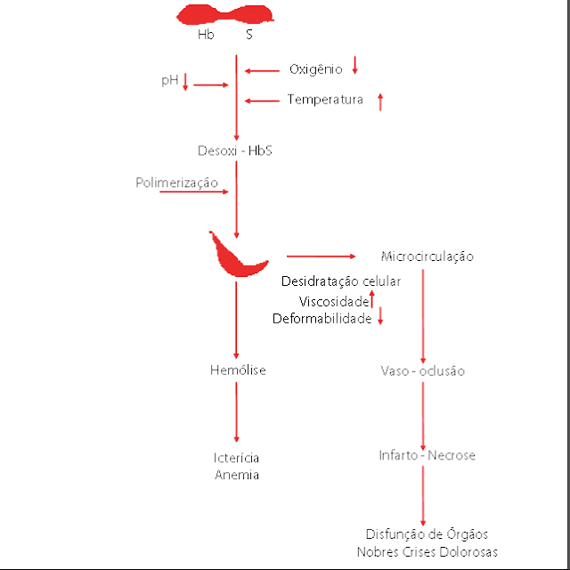 Doença falciforme: Doença Falciforme