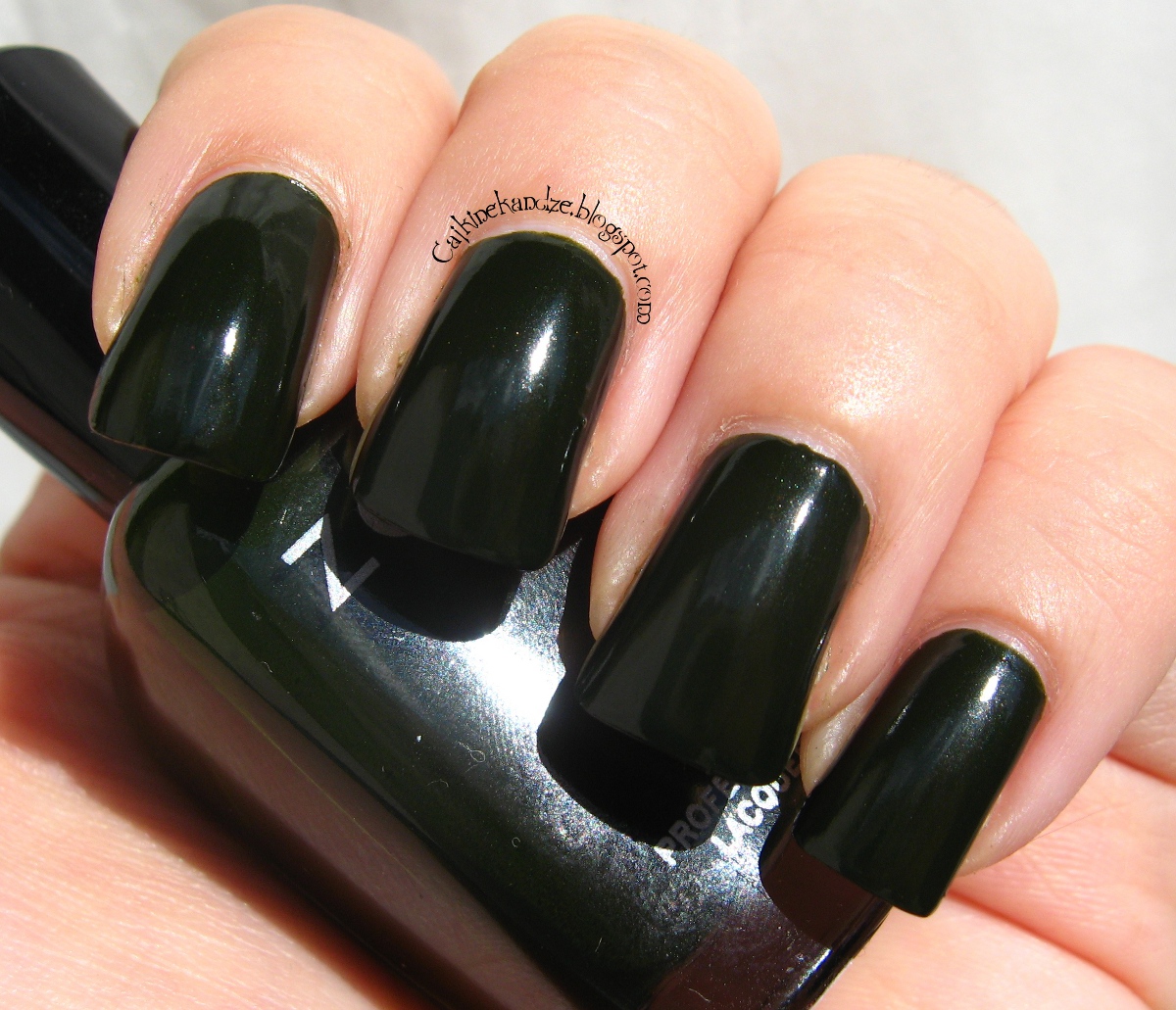 Zoya Envy | Cajkine kandže i sve njihove boje